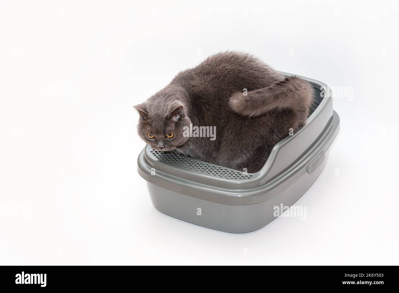 Background in form gray Cut Out Stock Images & Pictures - Alamy