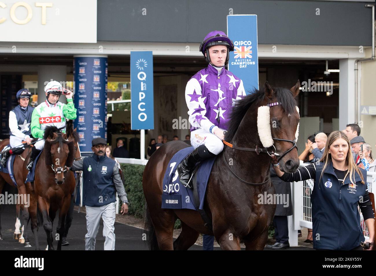 Go bears go horse hi-res stock photography and images - Alamy