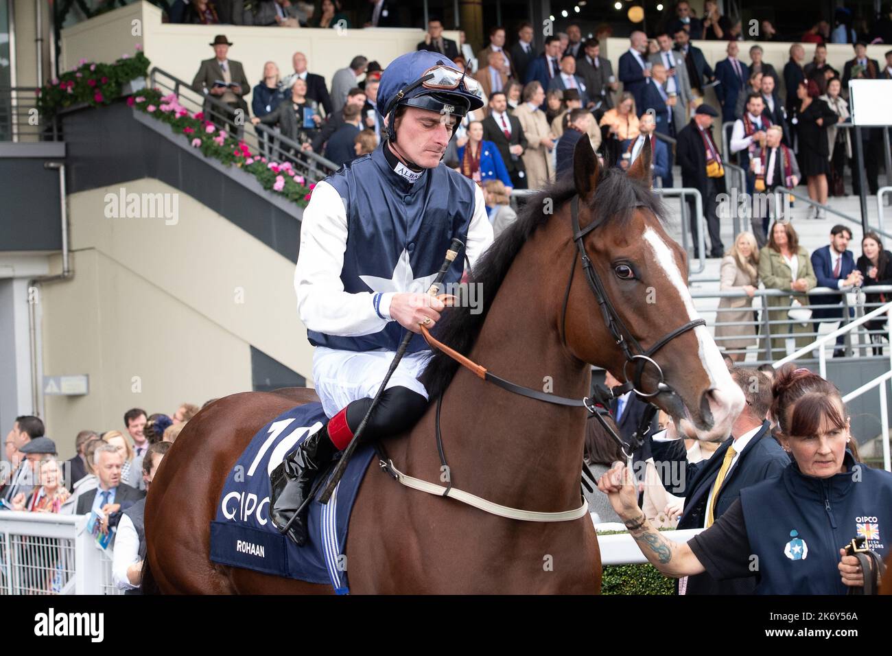 David evans trainer hi-res stock photography and images - Alamy