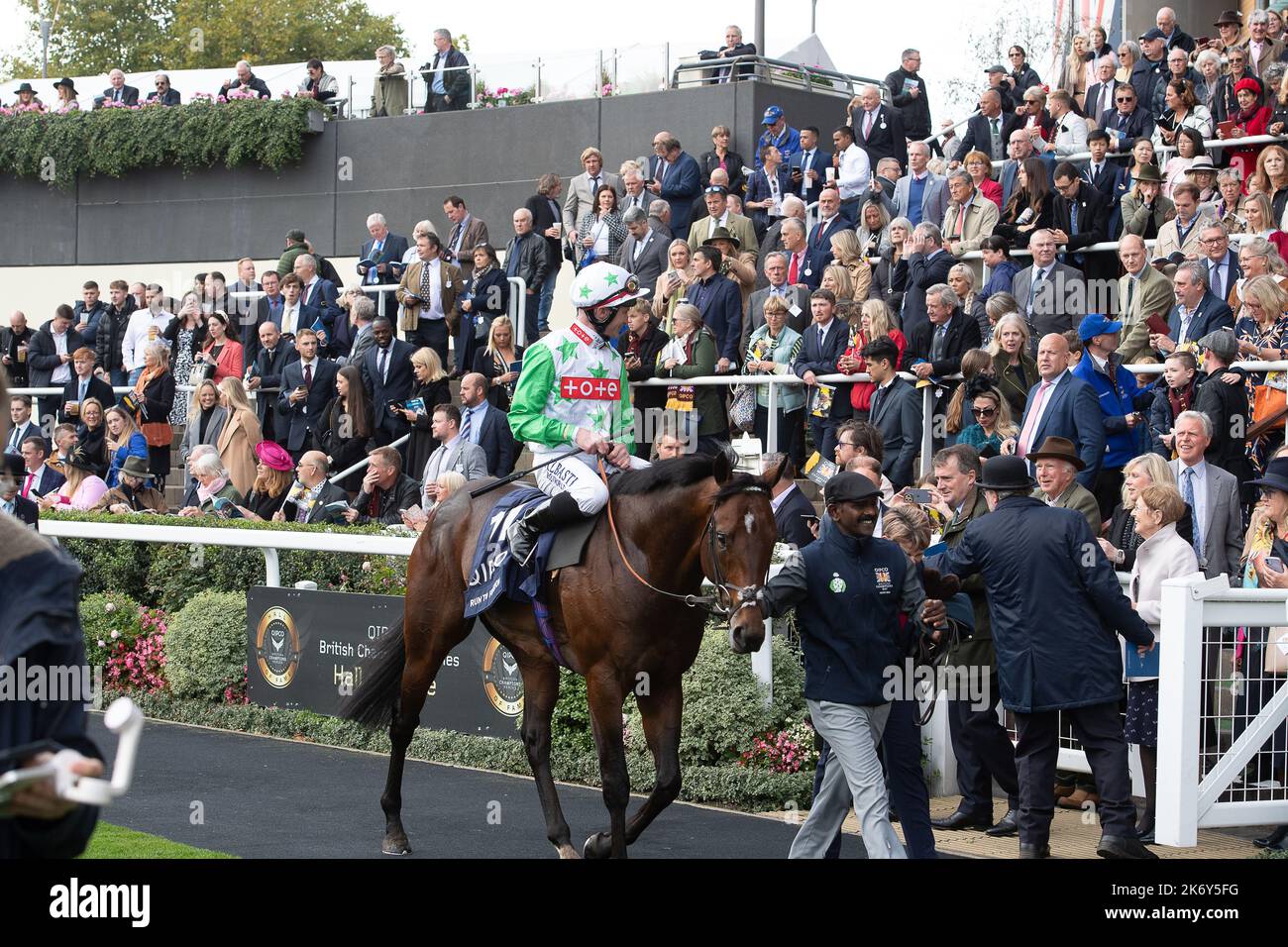 Kinross horse 2022 hi-res stock photography and images - Alamy