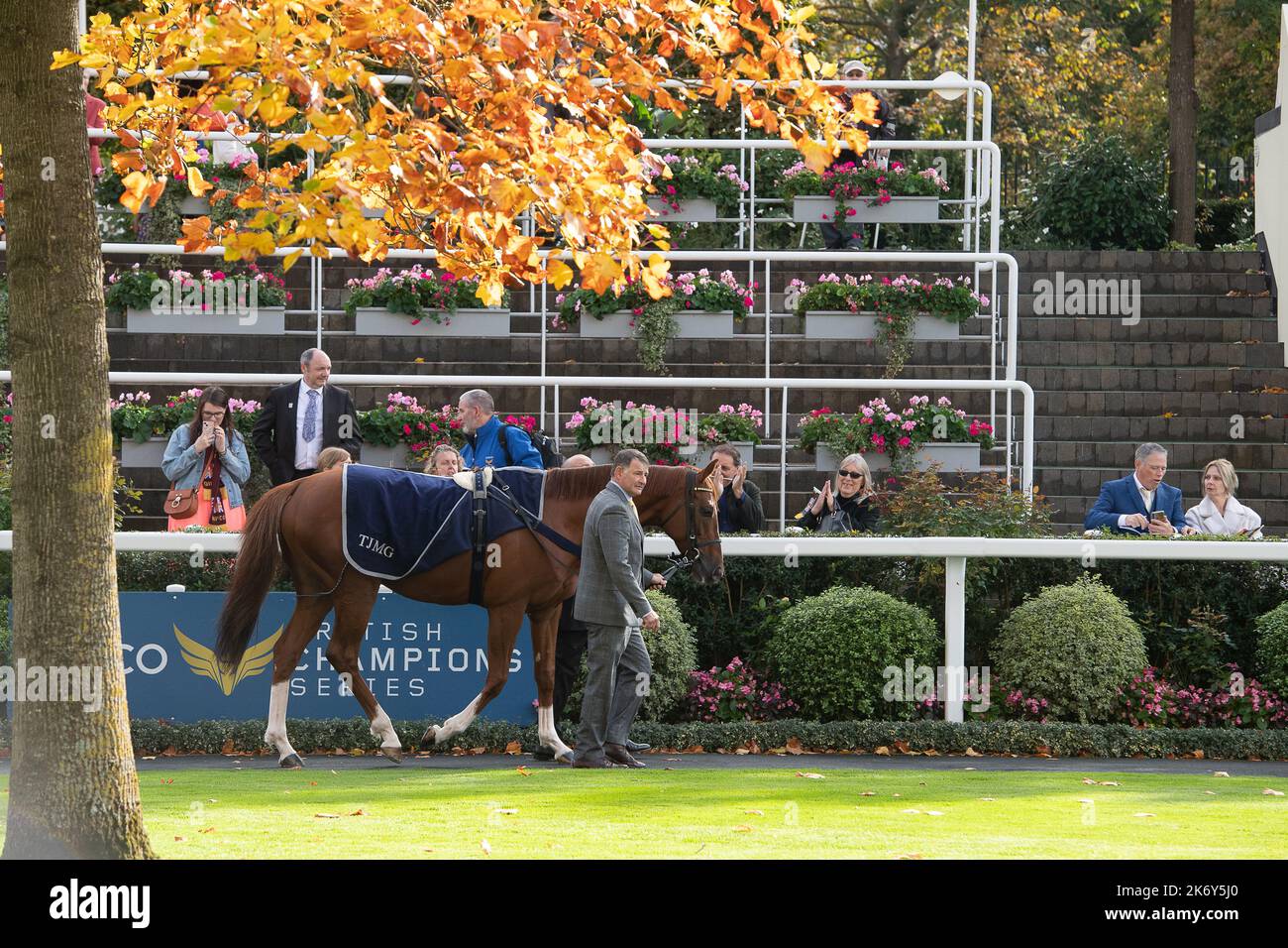 Ascot, Berkshire, UK. 16th October, 2022. The Autumn leaves seemed ...