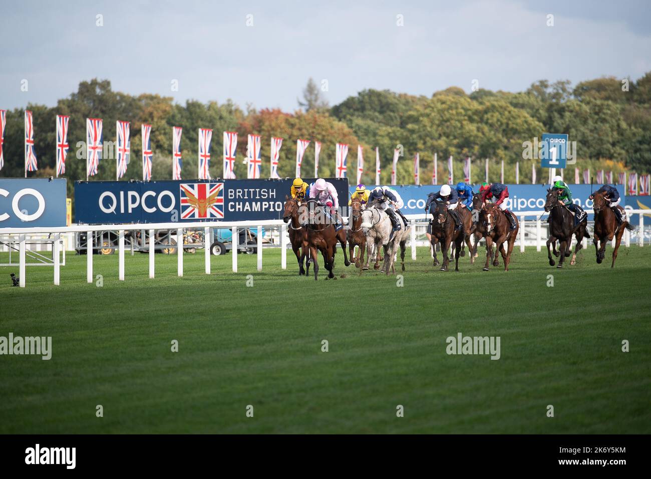 Guard of honour ascot hi-res stock photography and images - Alamy