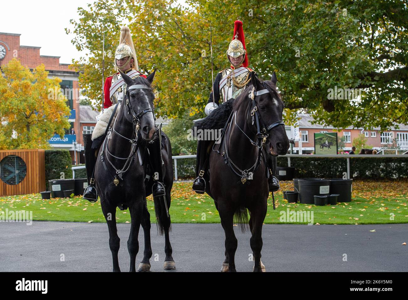 Guard of honour ascot hi-res stock photography and images - Alamy