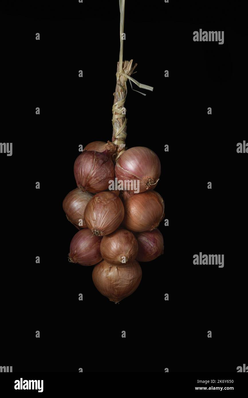 Tresse of Roscoff pink onions against a black background Stock Photo ...