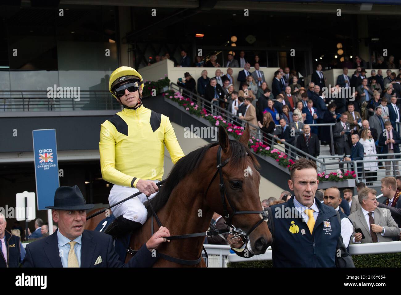 Ascot, Berkshire, UK. 15th October, 2022. Horse Jadoomi ridden by ...
