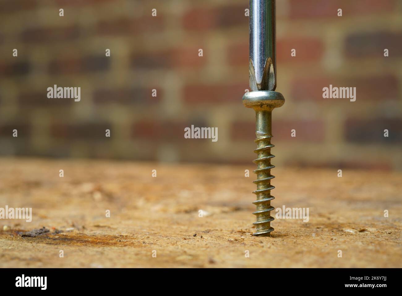 A close up of a woodscrew Stock Photo - Alamy