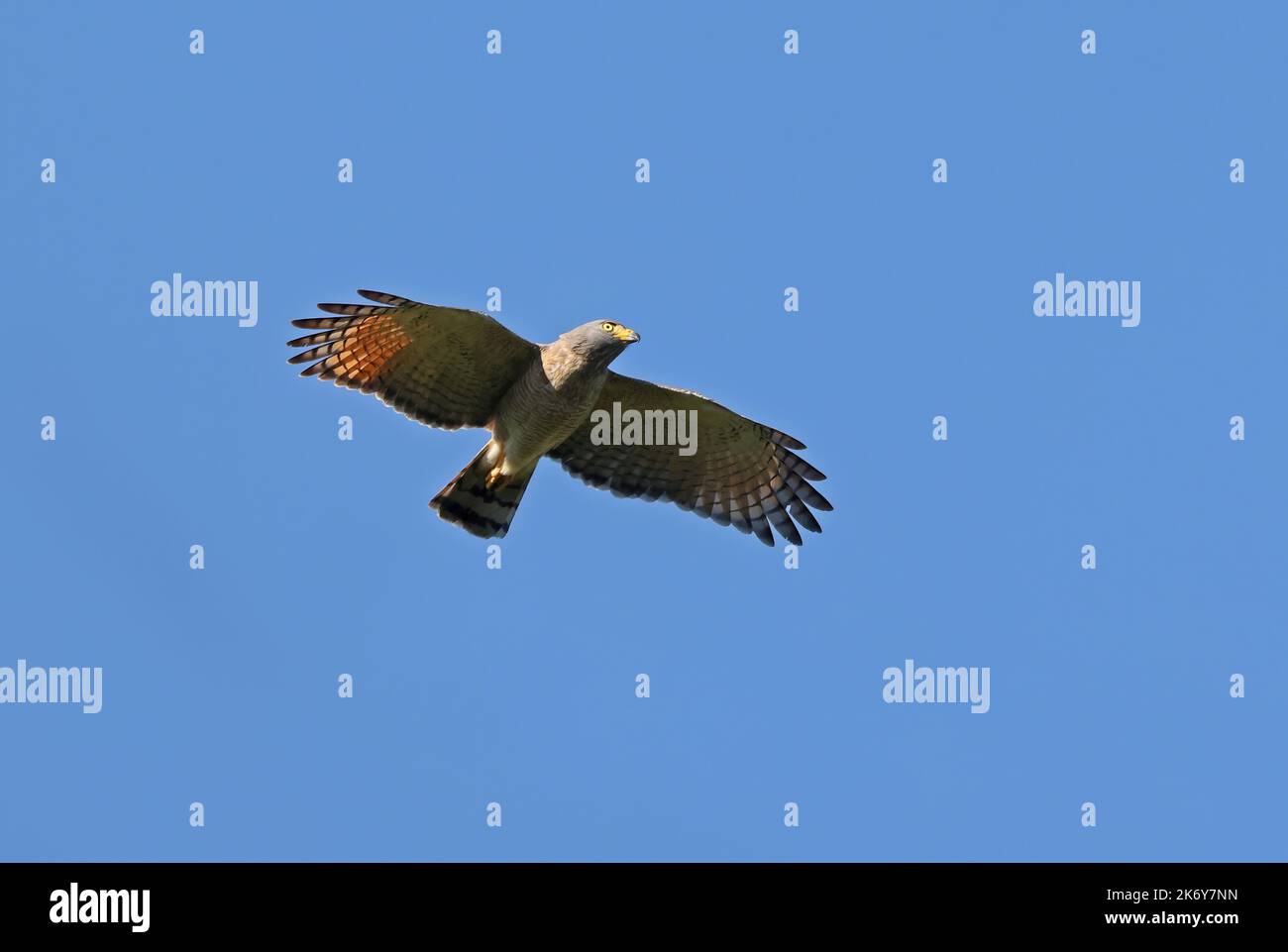 Río azul hi-res stock photography and images - Alamy