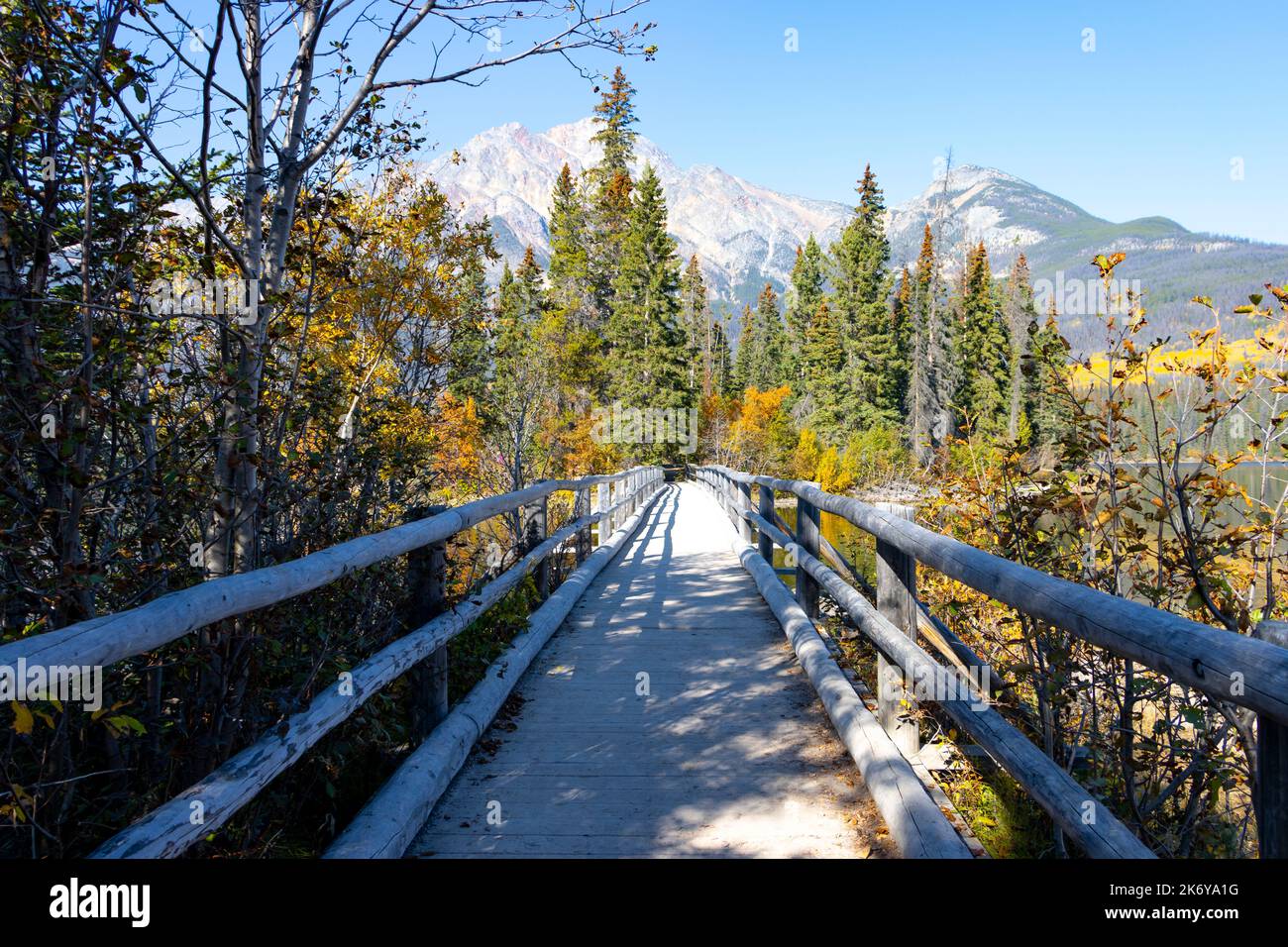 wooden bridge heading to autumn trees with mountains behind Stock Photo ...