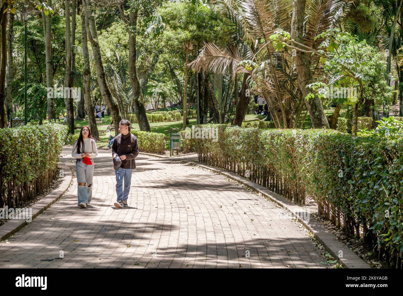 Shaded pathway promenade city park open space trees hi-res stock ...