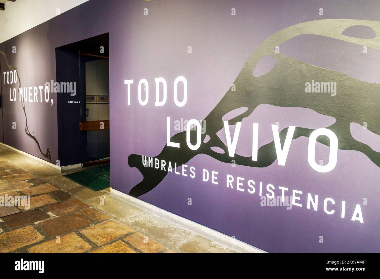 Interior inside mural exhibit exhibits collection hi-res stock ...