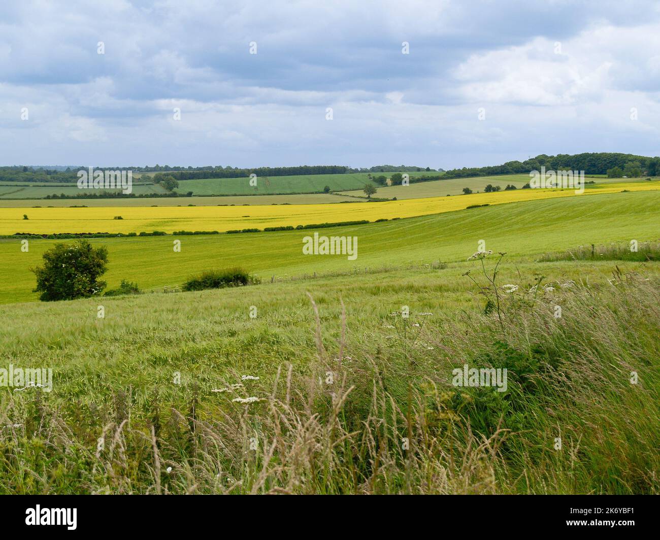 English environment weather green blue grass hi-res stock photography ...