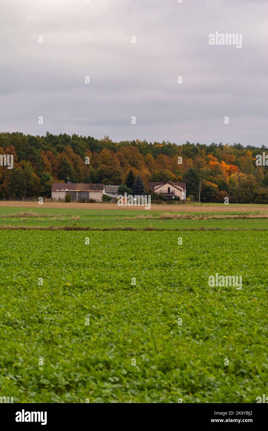 Edge habitat hi-res stock photography and images - Alamy