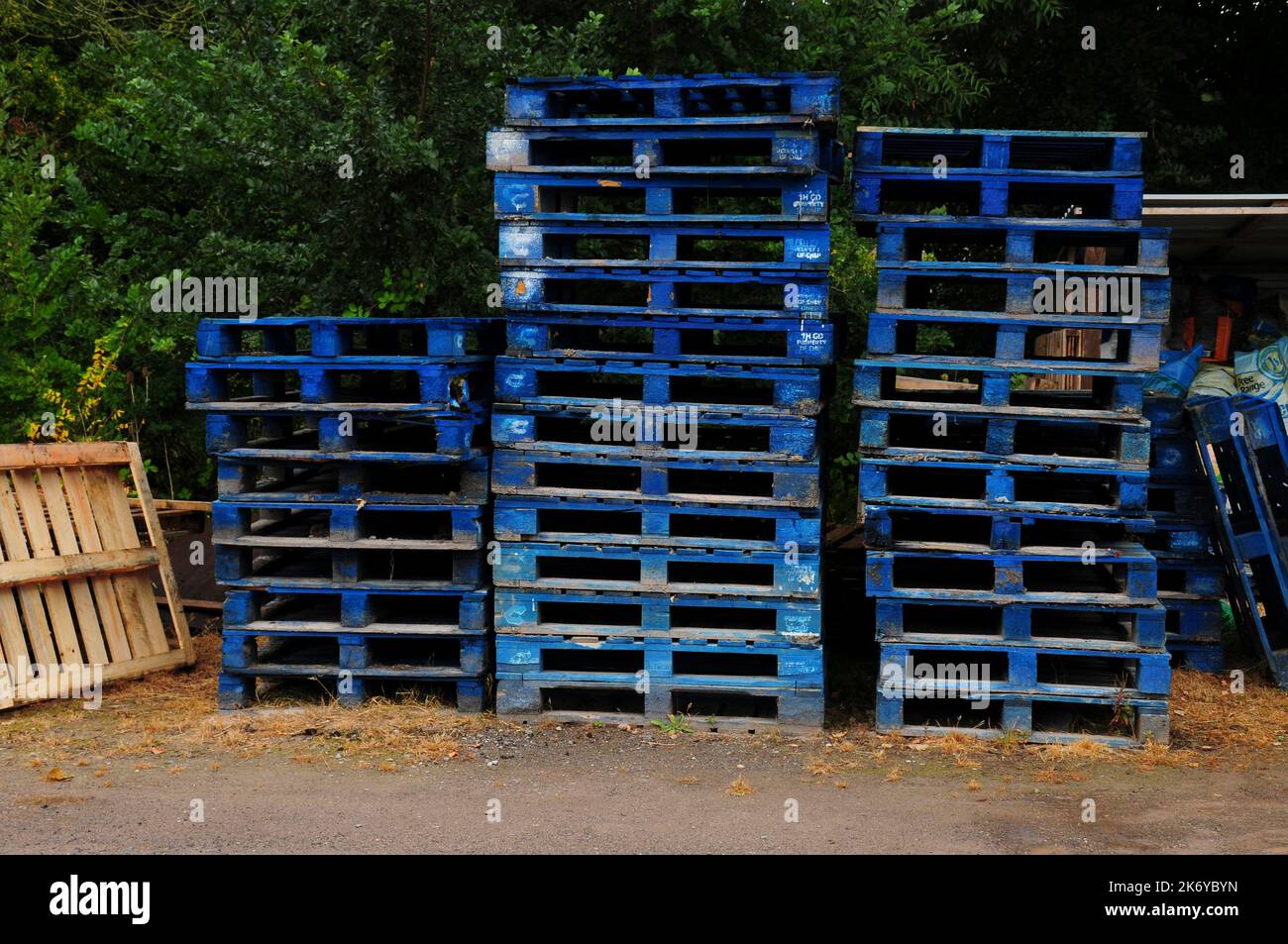 Caroline eastwood hi-res stock photography and images - Alamy