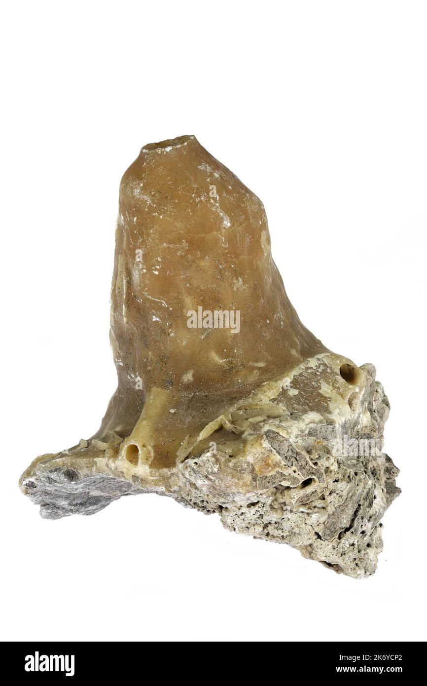 dripstone from the Danube Valley, Germany isolated on white background ...