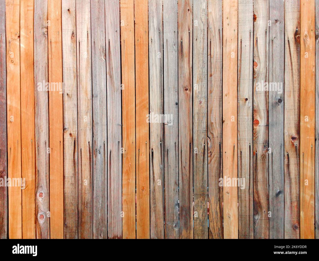 Seamless Texture wood, high quality Stock Photo - Alamy