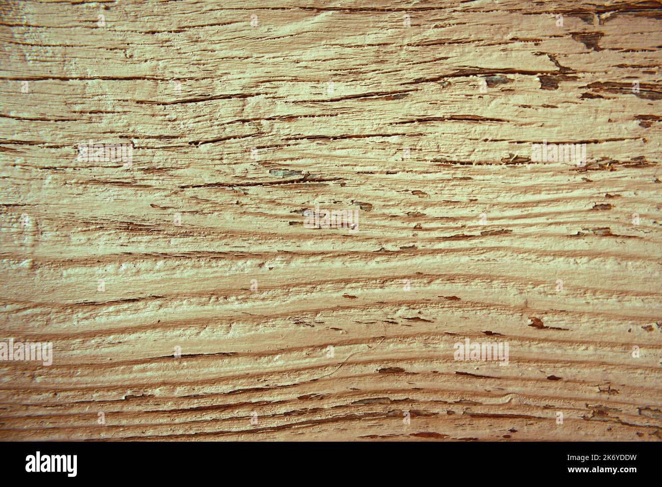Seamless Texture wood, high quality Stock Photo - Alamy