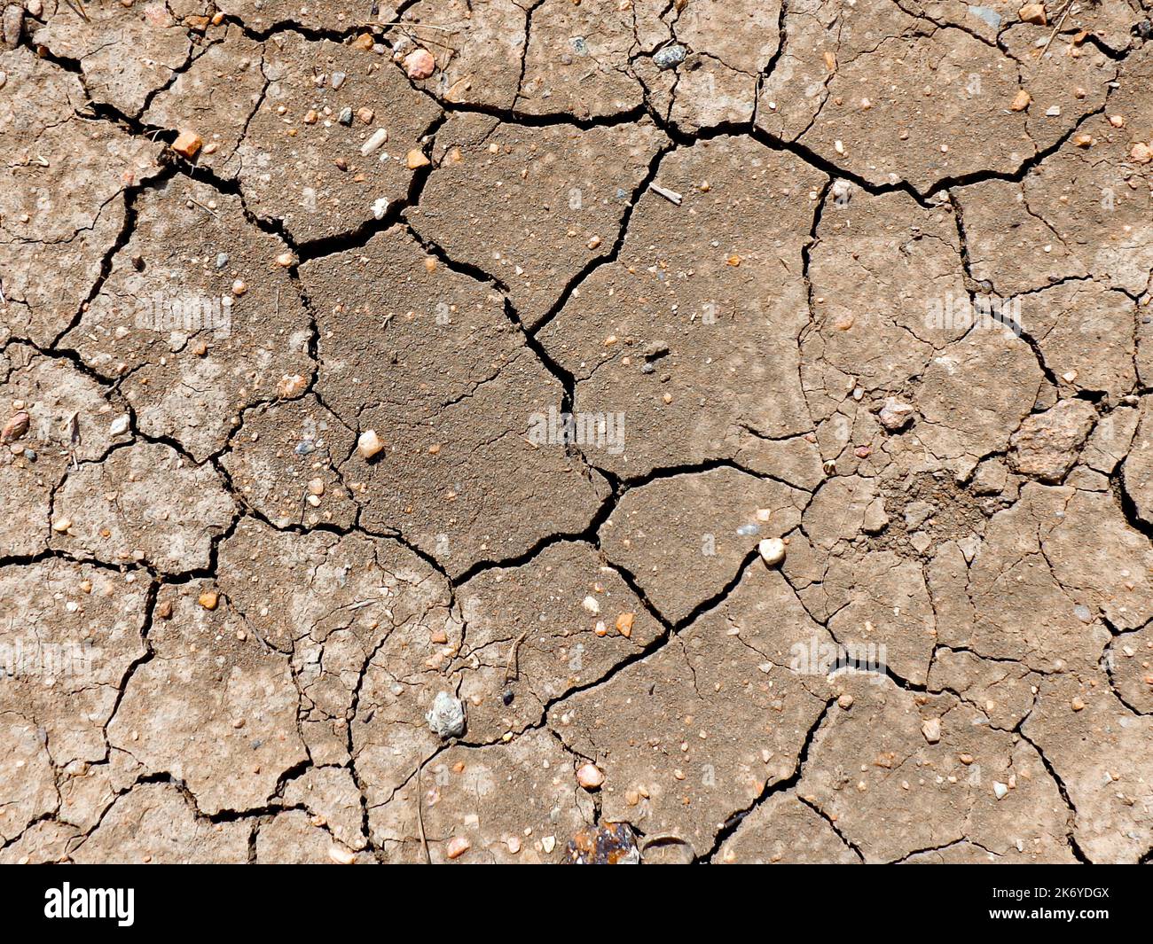 Seamless Texture dried mud cracks, high quality Stock Photo - Alamy