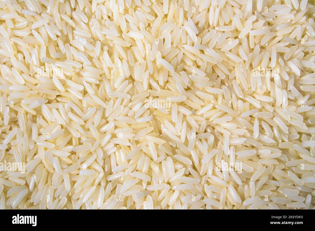 Seamless texture jasmine rice hi-res stock photography and images - Alamy