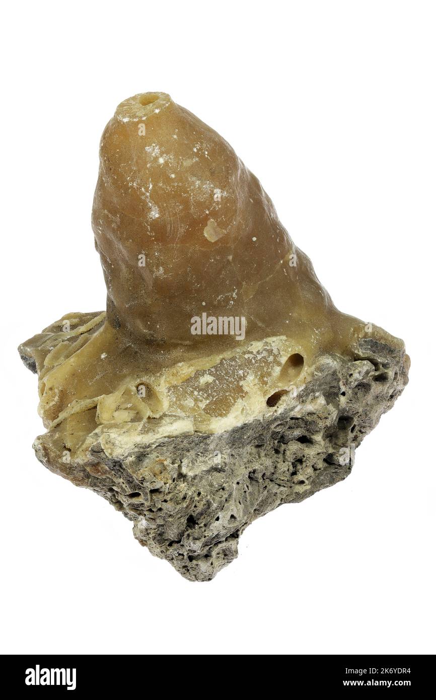 dripstone from the Danube Valley, Germany isolated on white background ...