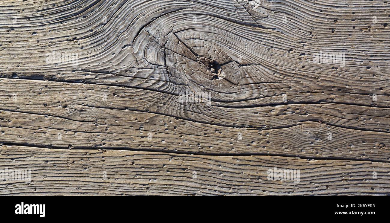 Brown wood texture background, araucaria cortex Stock Photo - Alamy