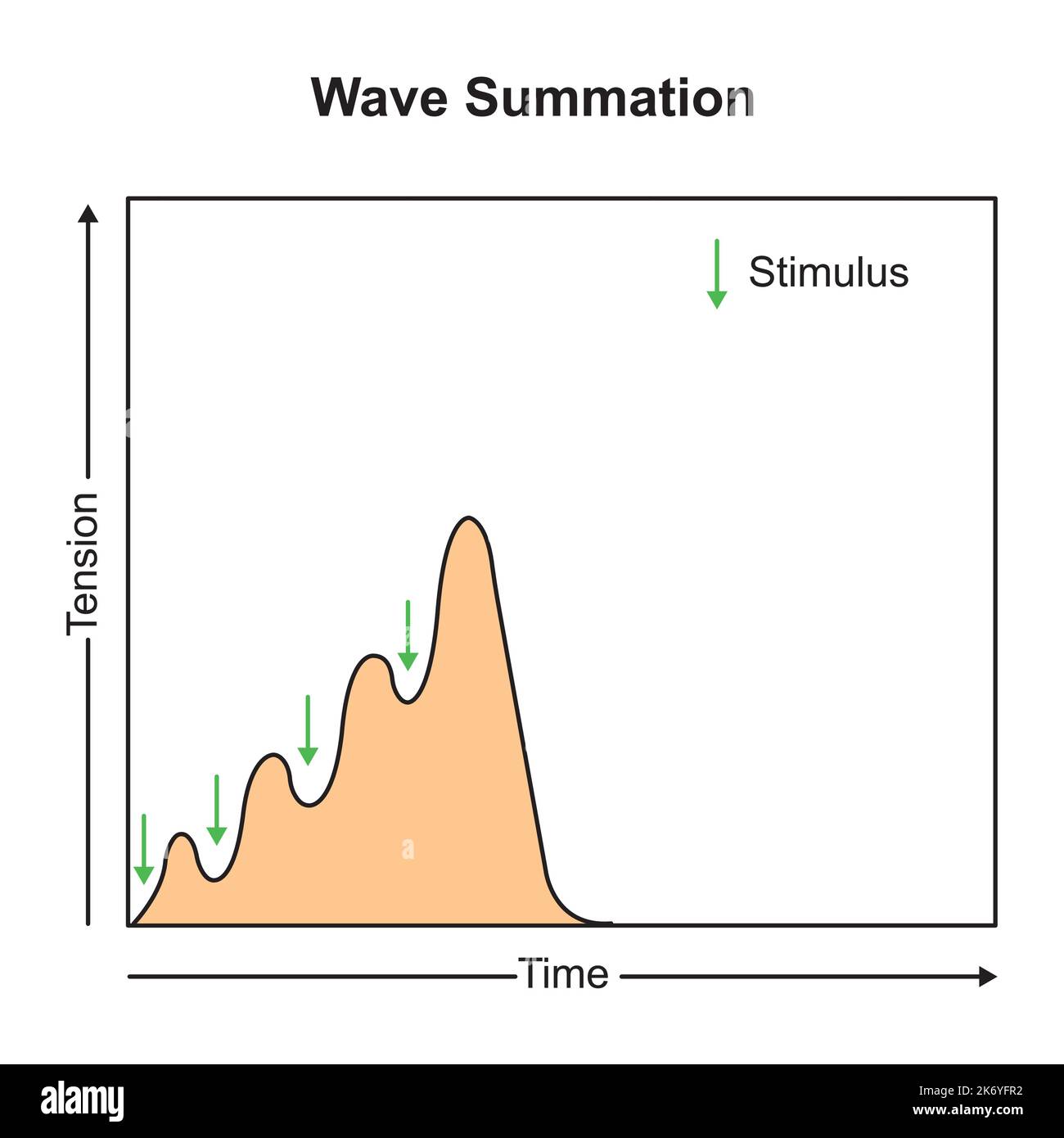 Scientific Designing of Wave Summation. Colorful Symbols. Vector ... Scientific Designing of Wave Summation. Colorful Symbols. Vector ...