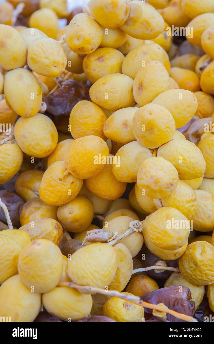 Bunches of round yellow dates, barhi variety. Displayed at street ...