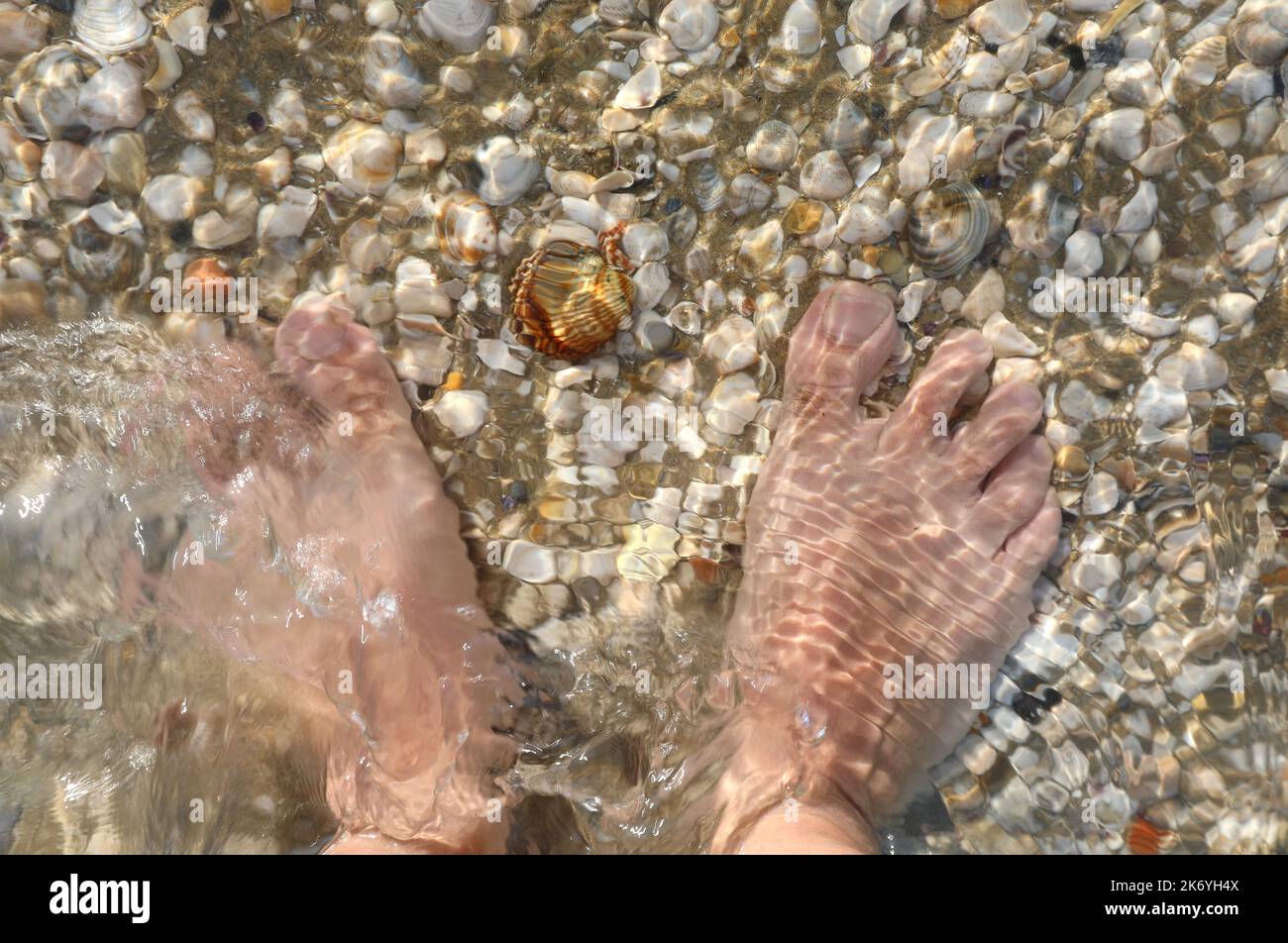 feet of man under the sea water above many shells Stock Photo - Alamy