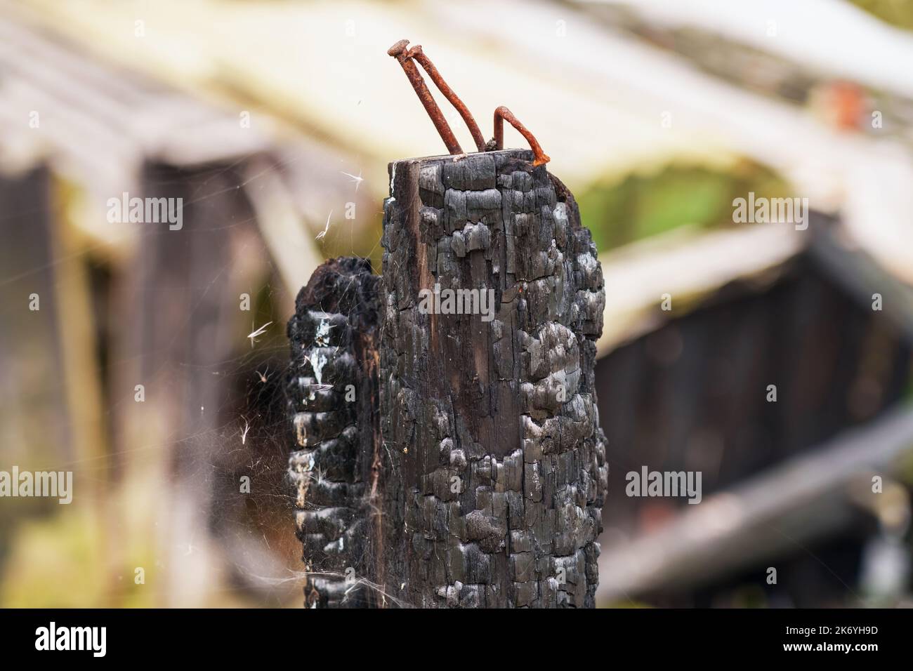Black burnt log with rusty bent nails of a house burned by fire. Wood ...