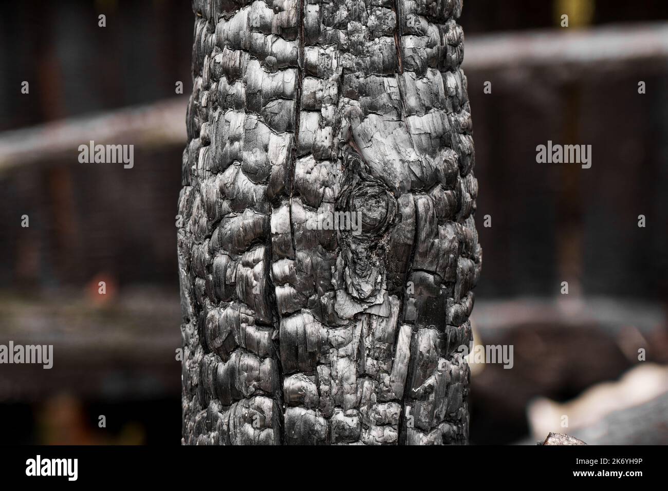 Black burnt log of a house burned by fire. Charcoal wood texture close ...
