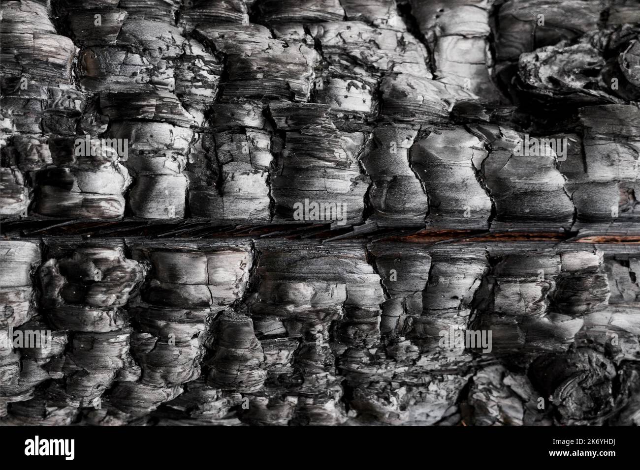 Black abstract rough burnt wood texture. Scorched charcoal surface ...