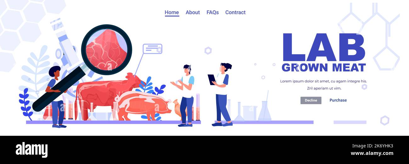 scientists team analyzing cultured red raw meat made from animal cells ...