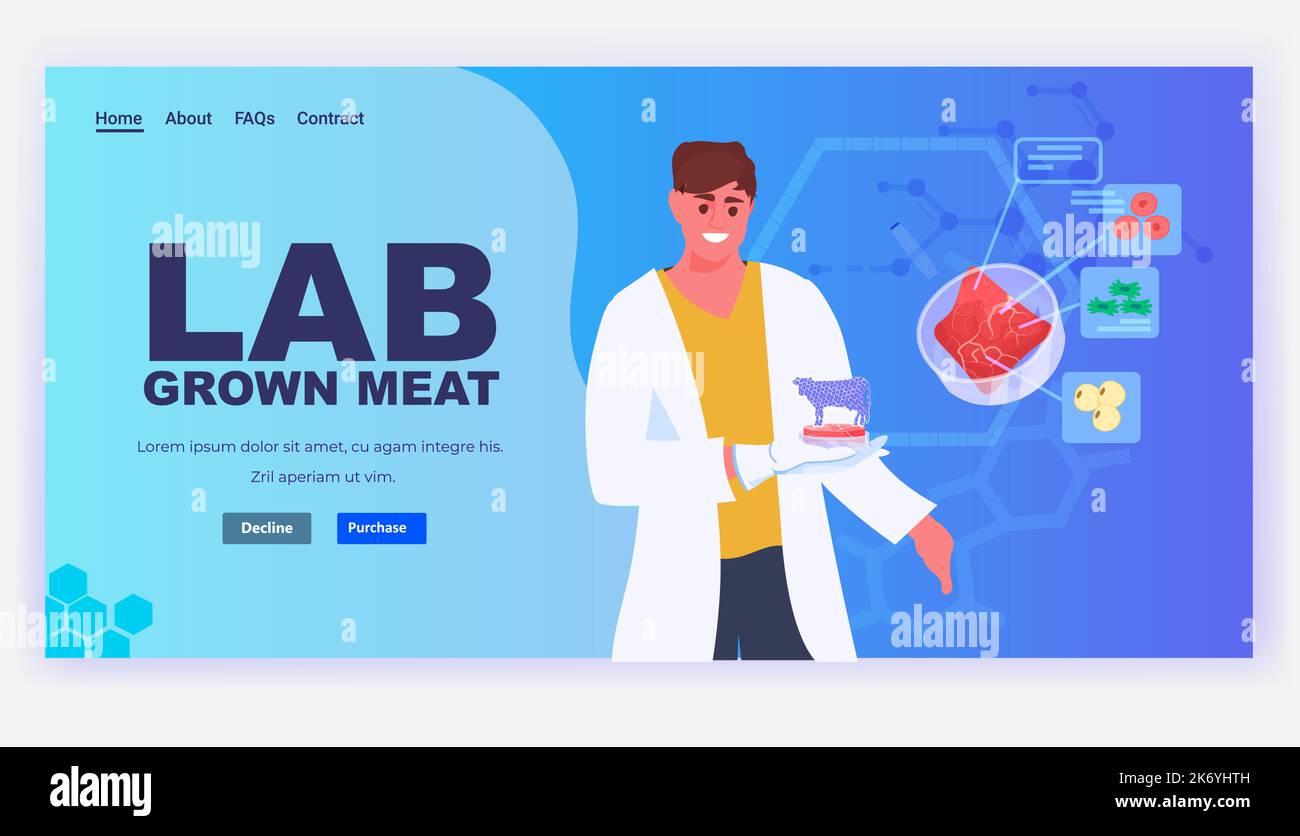 scientist analyzing cultured red raw veal made from animal cells ...