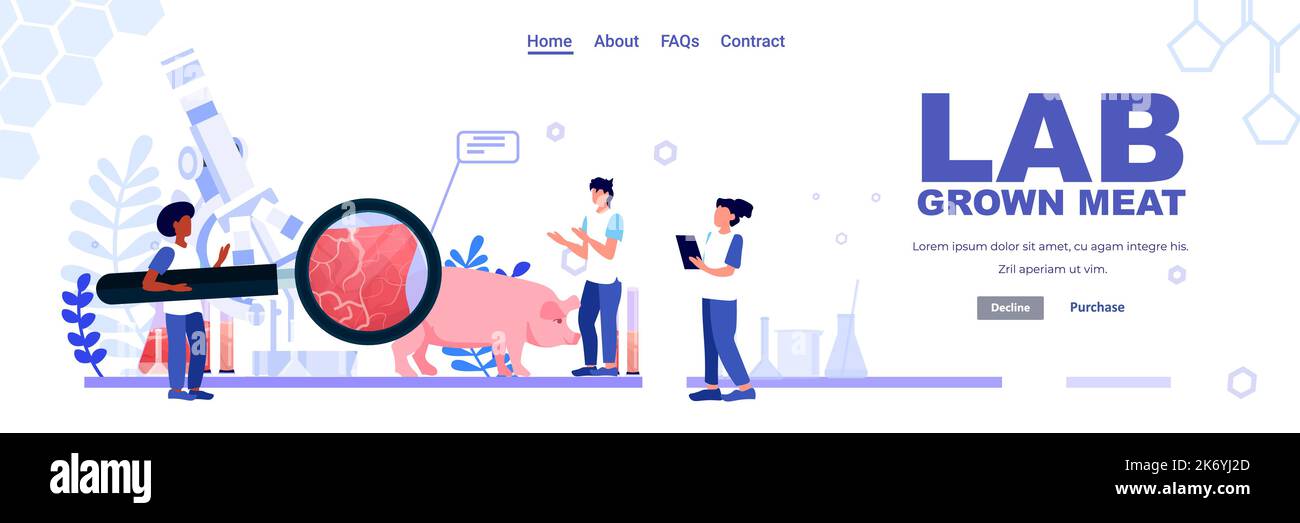 scientists team analyzing cultured red raw pork made from animal cells ...