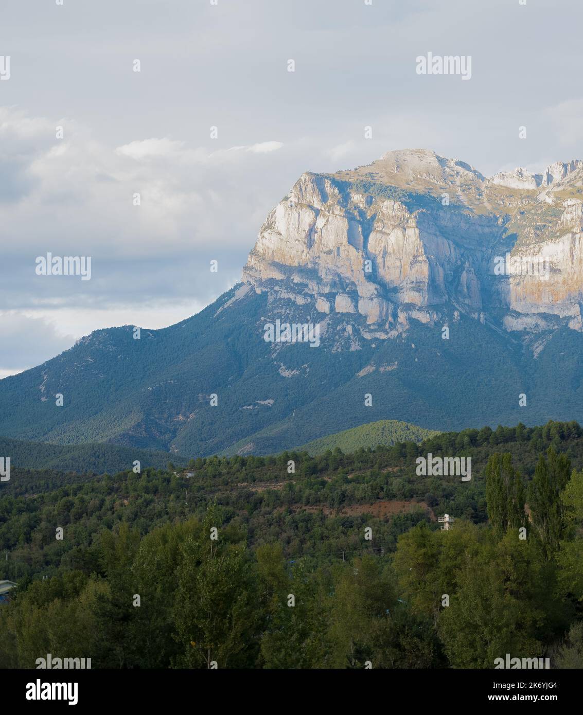 Vultures of the spanish pyrenees hi-res stock photography and images ...