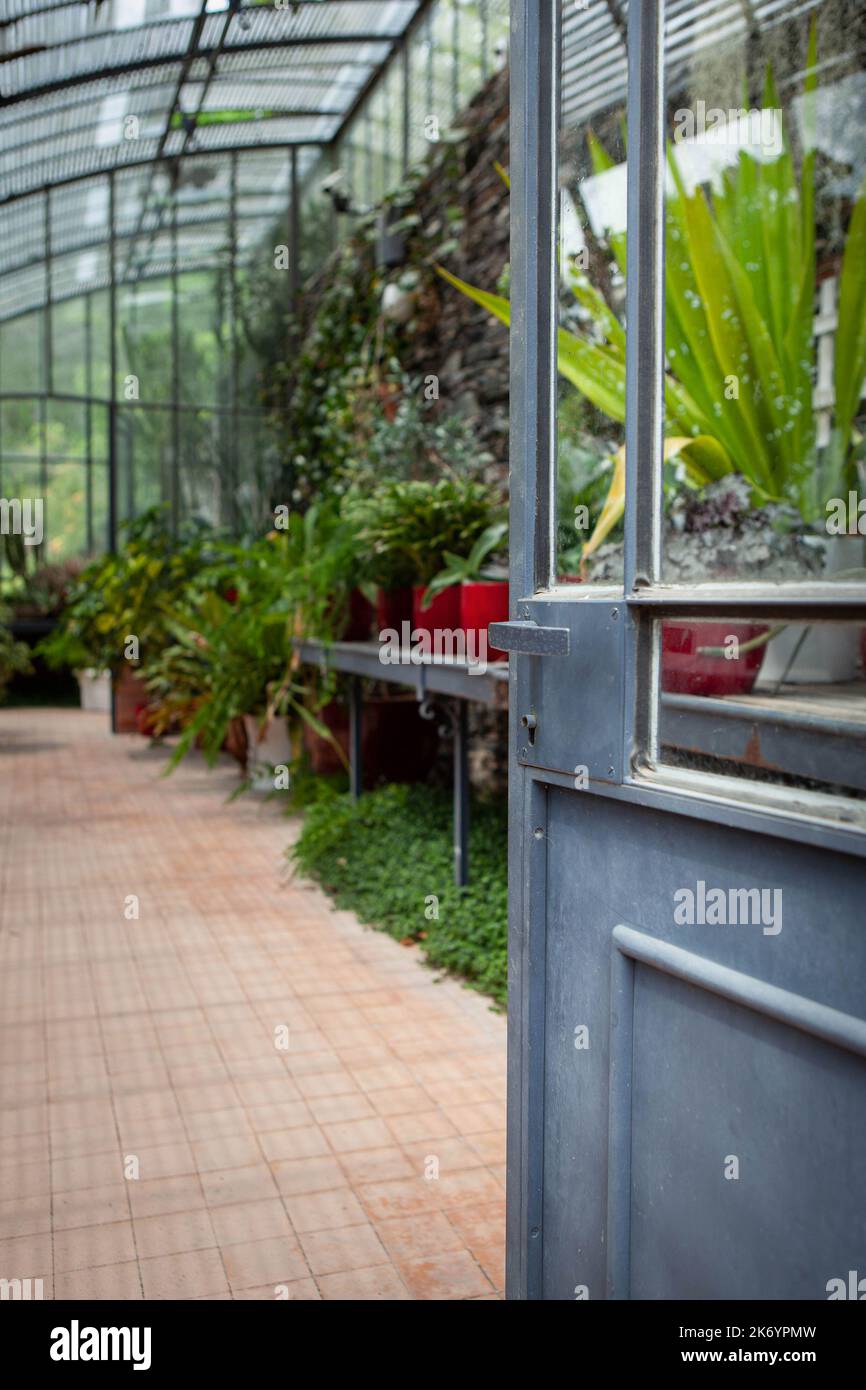 Door open on a vintage greenhouse Stock Photo - Alamy