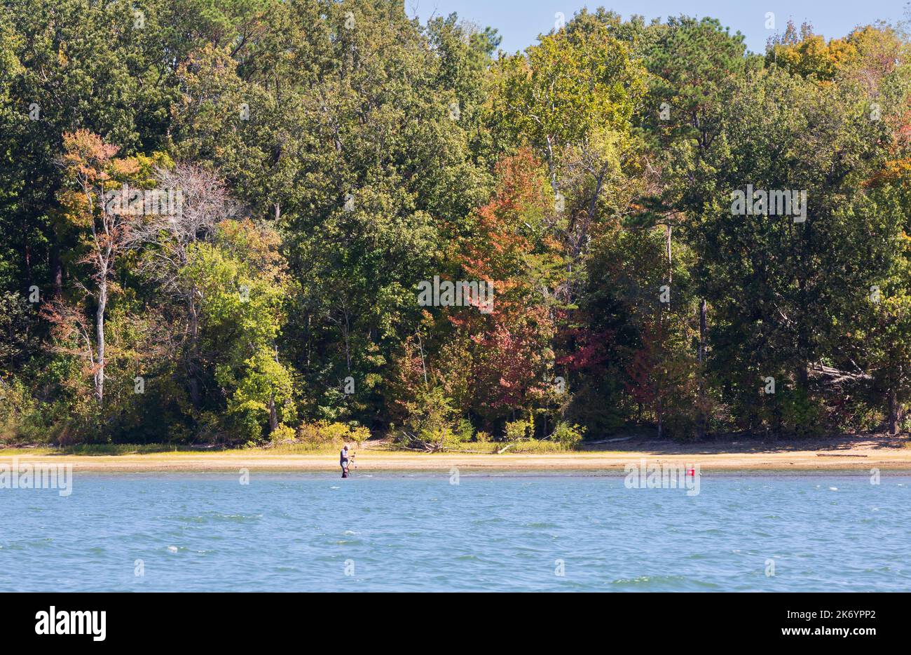A man fishing in shallow water on Kentucky Lake in early autumn. Leaves ...