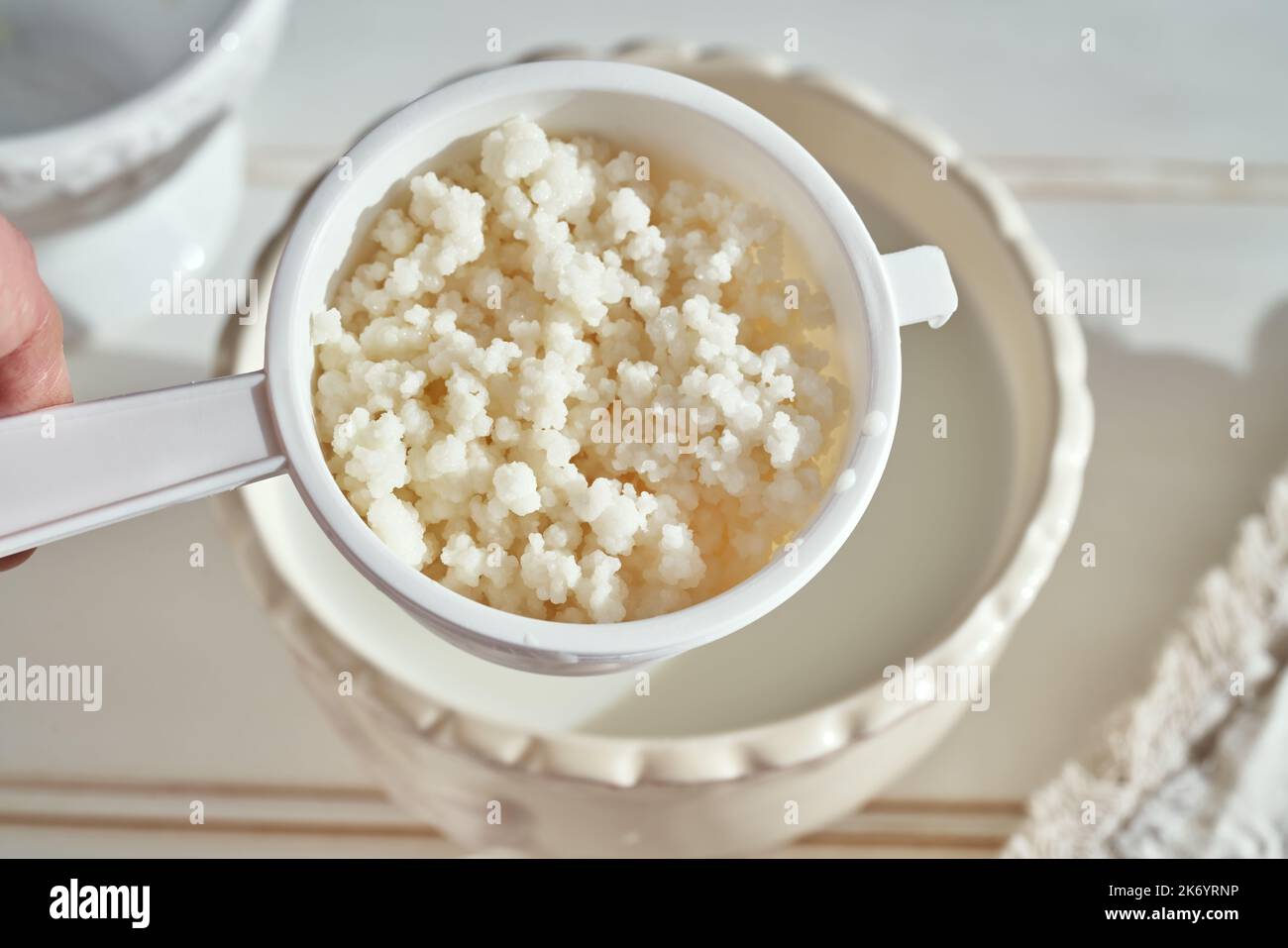 Fresh kefir grains in a white strainer - preparation of homemade ...