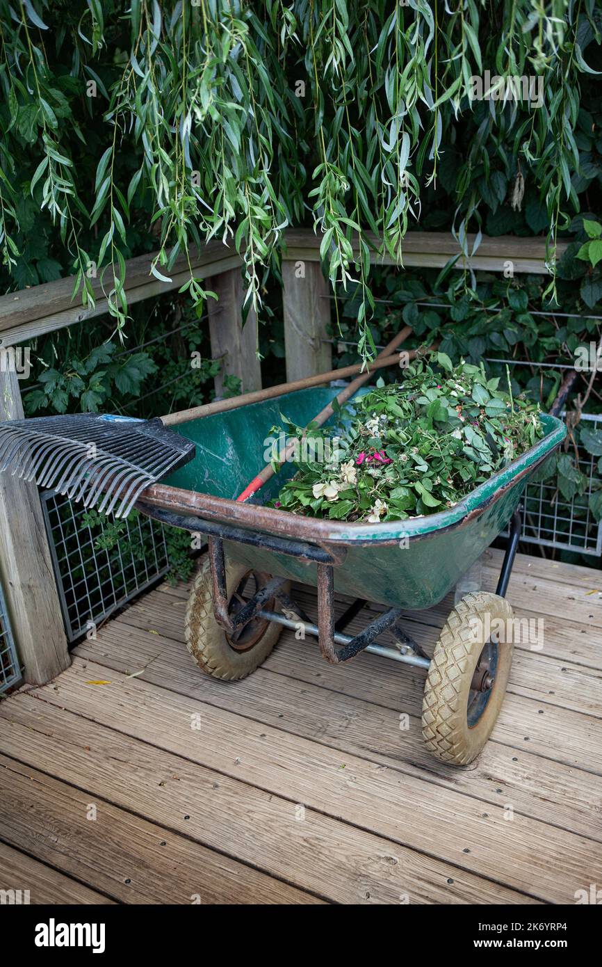 Gardening on the pontoon in summer Stock Photo - Alamy