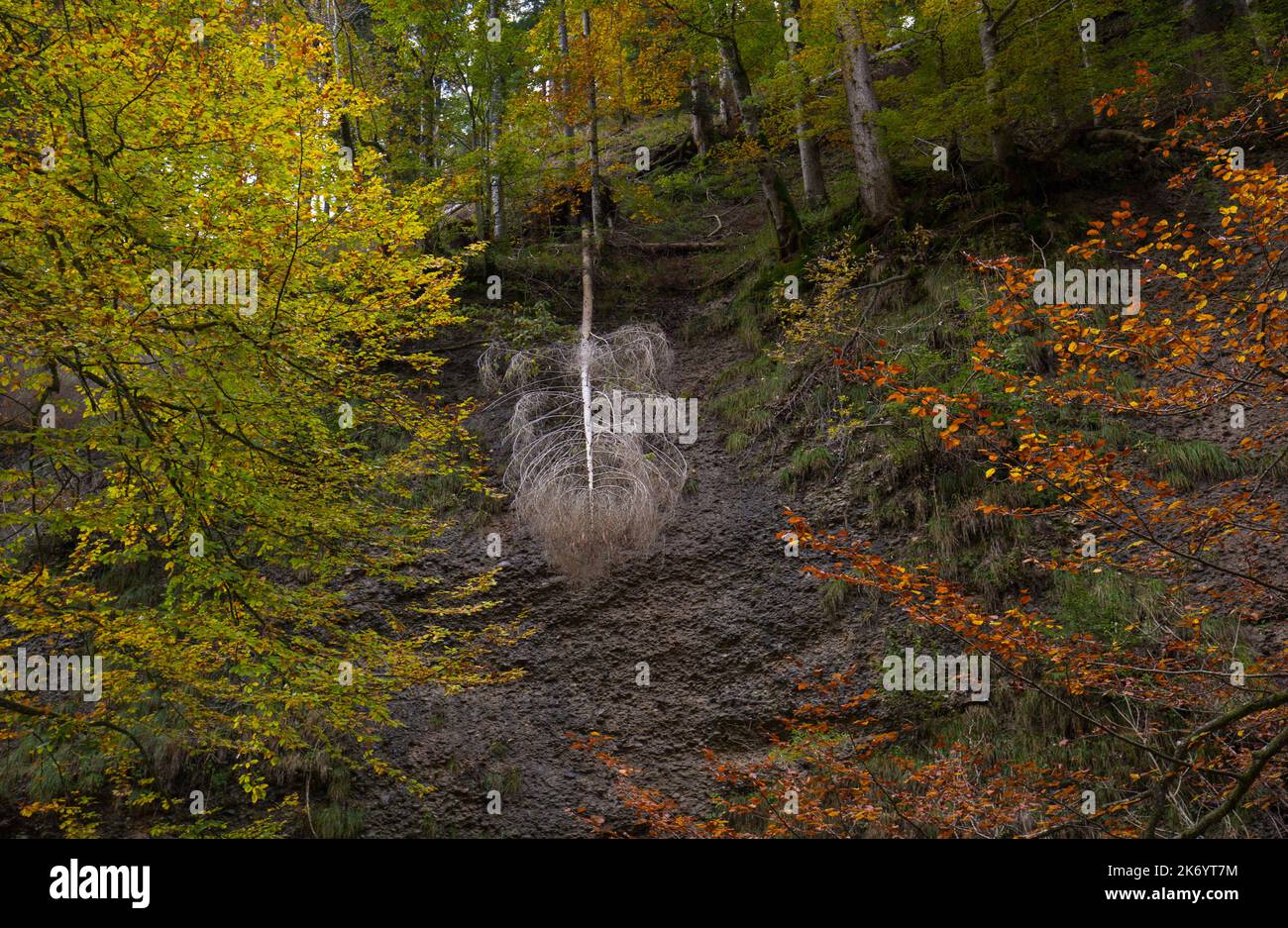 Picture wall upside down hi-res stock photography and images - Alamy