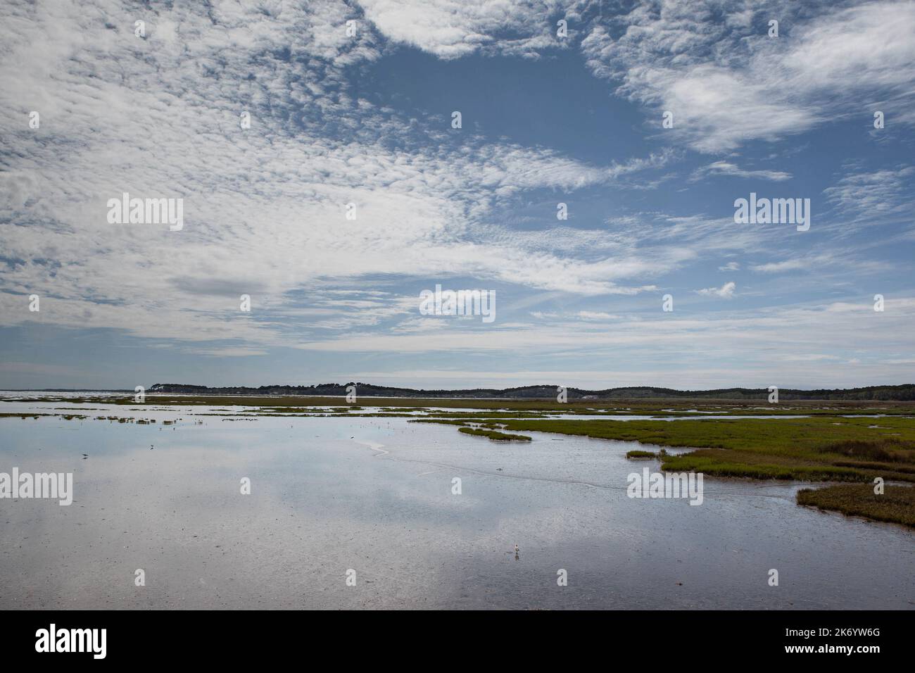 Coastlines on the Arcachon basin in France Stock Photo - Alamy