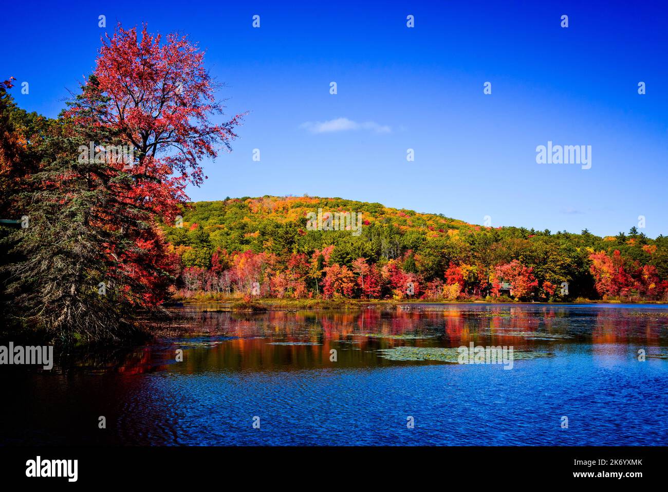 Colors of fall folliage over New Hampshire pond Stock Photo - Alamy
