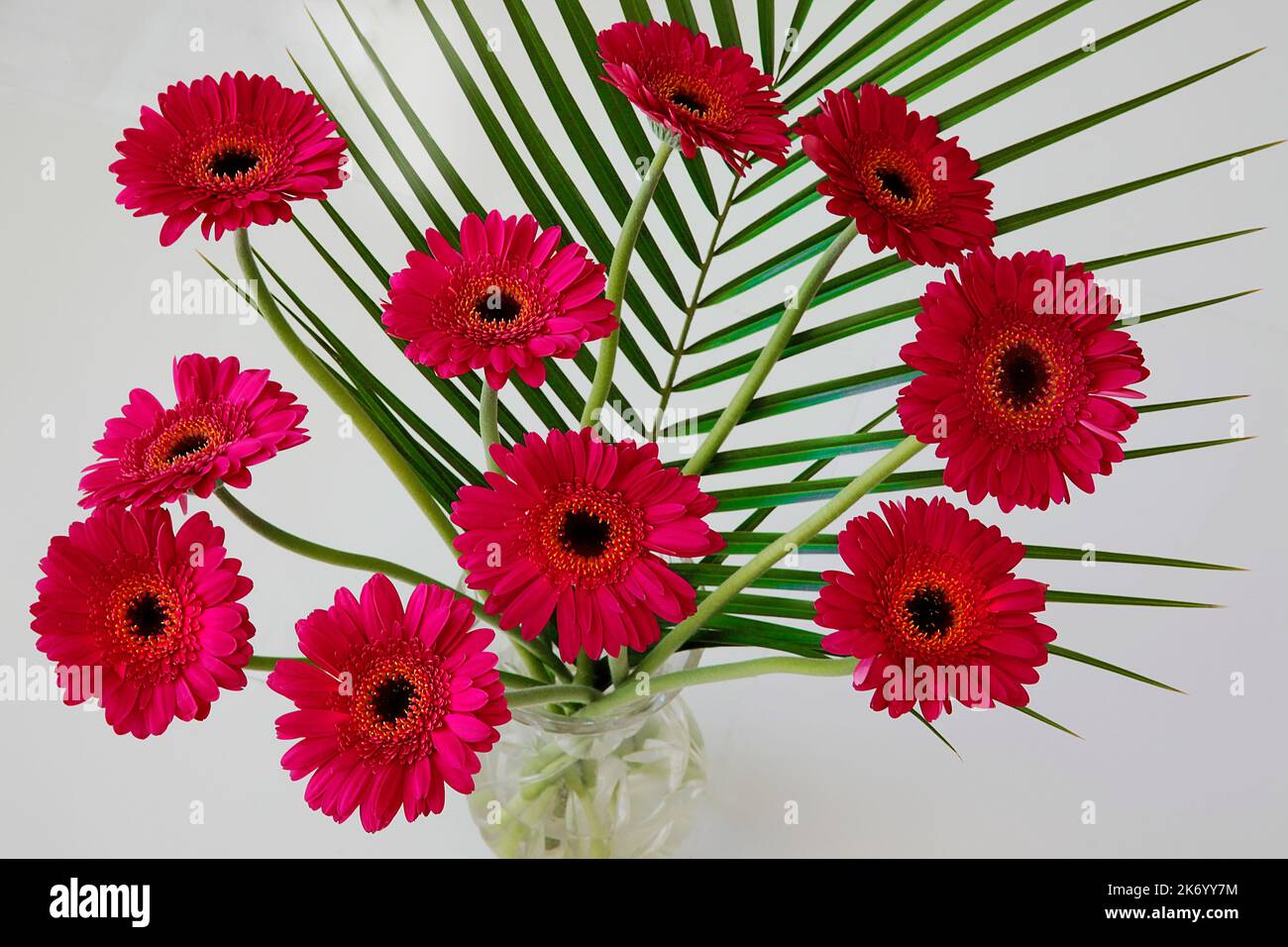 Gerberas vase hi-res stock photography and images - Alamy