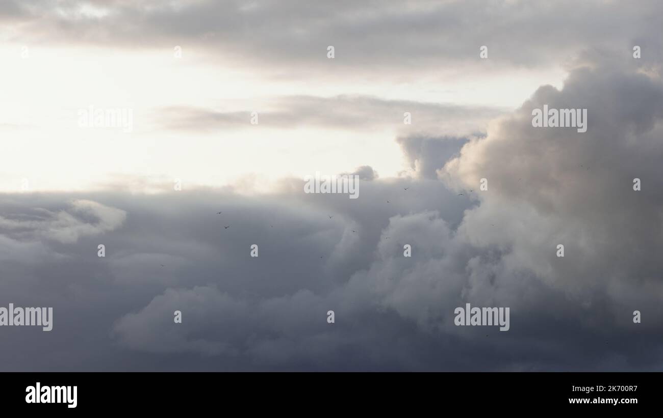 Slow motion birds flying in front of cloudscape with sunset light ...