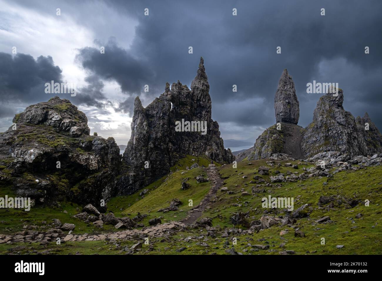 Wildlife and nature in the Scottish borders and Highlands Stock Photo ...