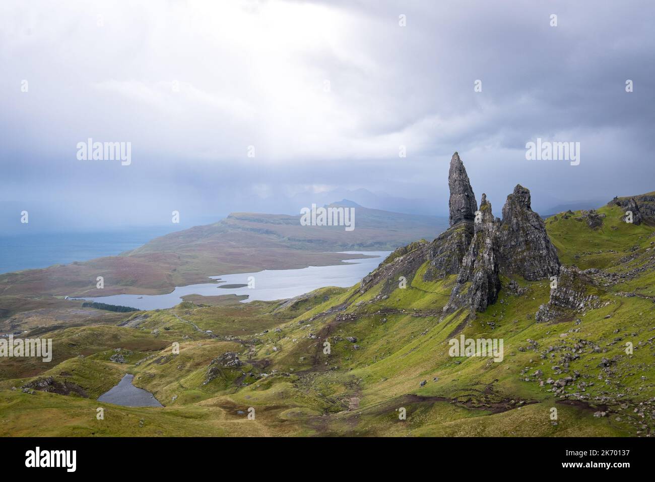 Wildlife and nature in the Scottish borders and Highlands Stock Photo ...