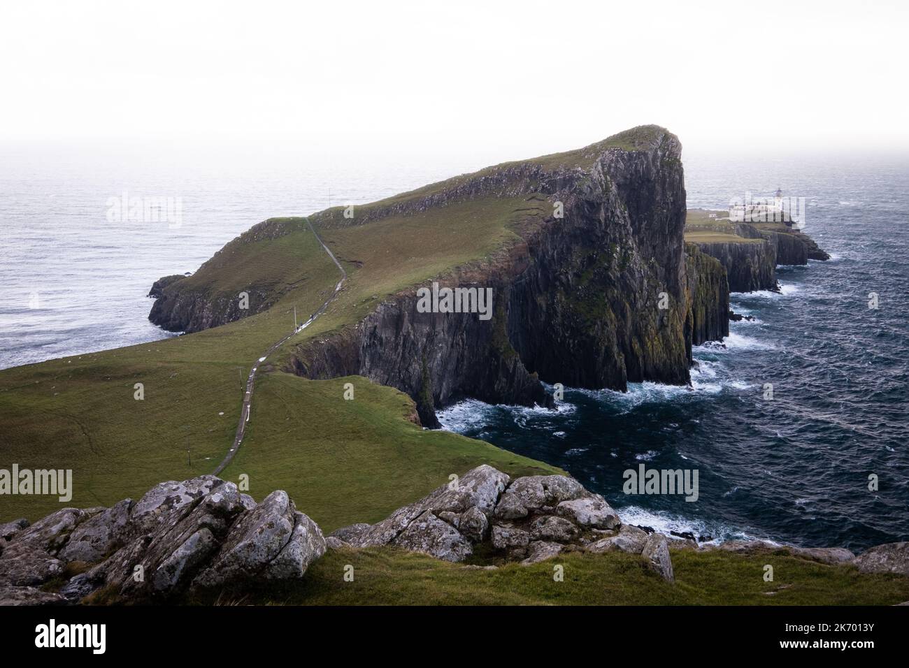 Wildlife and nature in the Scottish borders and Highlands Stock Photo ...