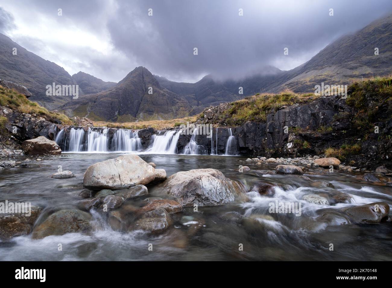 Wildlife and nature in the Scottish borders and Highlands Stock Photo ...