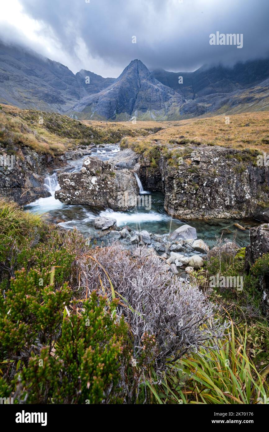 Wildlife and nature in the Scottish borders and Highlands Stock Photo ...