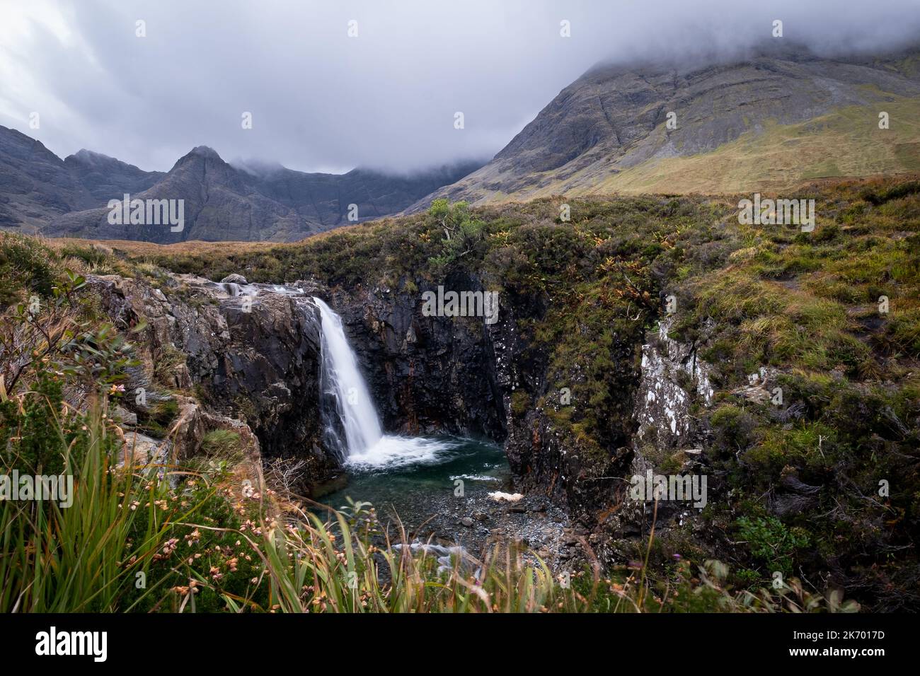 Wildlife and nature in the Scottish borders and Highlands Stock Photo ...