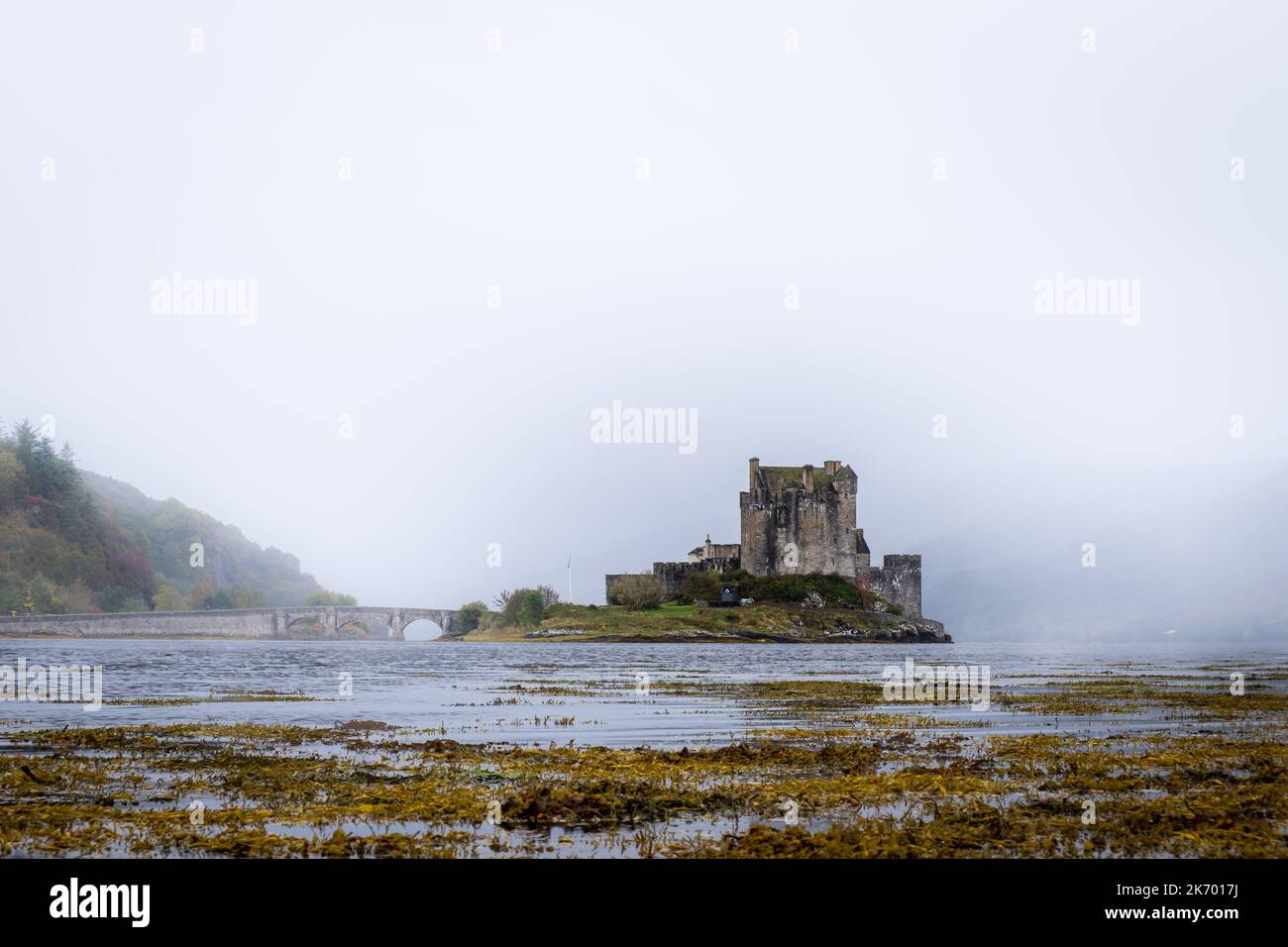 Wildlife and nature in the Scottish borders and Highlands Stock Photo ...